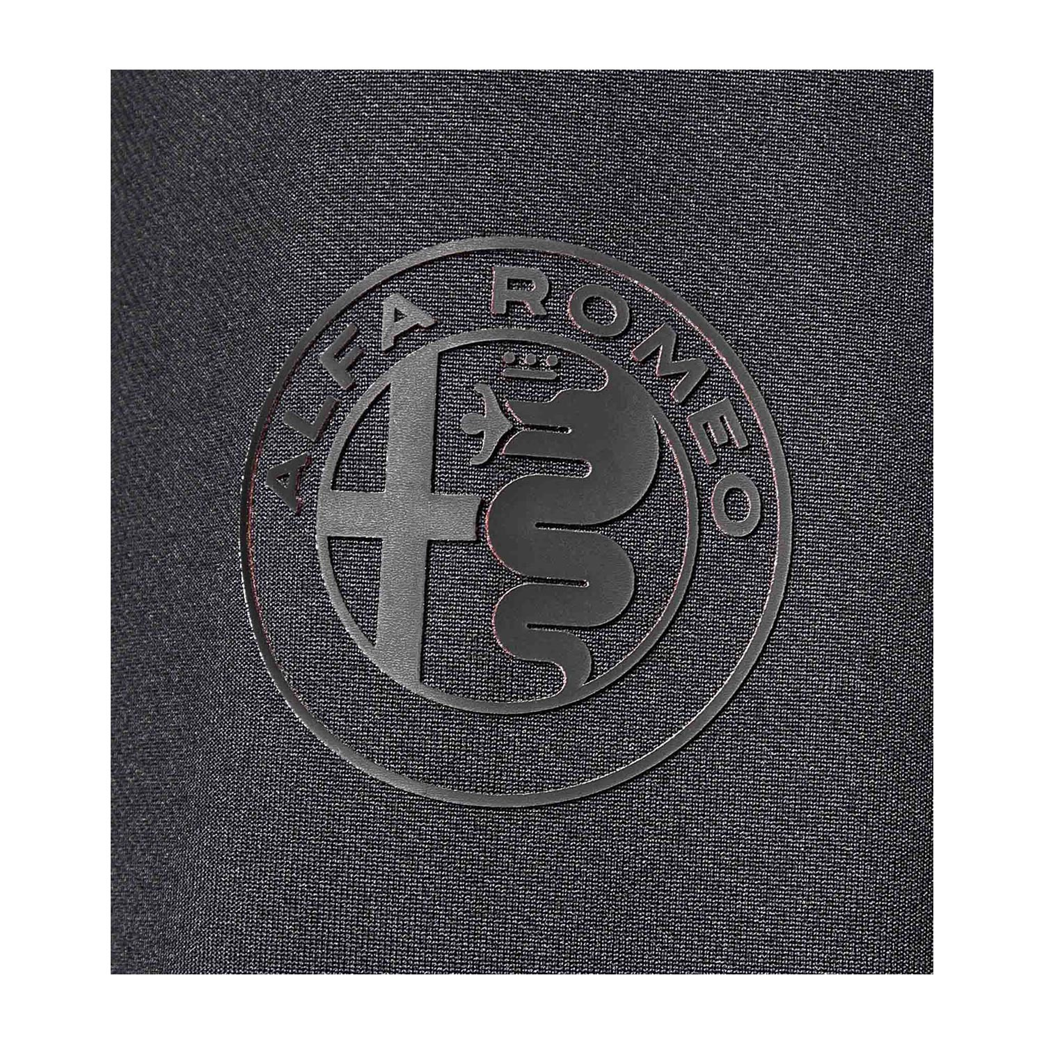 Alfa Romeo Racing Mens Apex Hoodie | Sweatshirts \ Mens ...