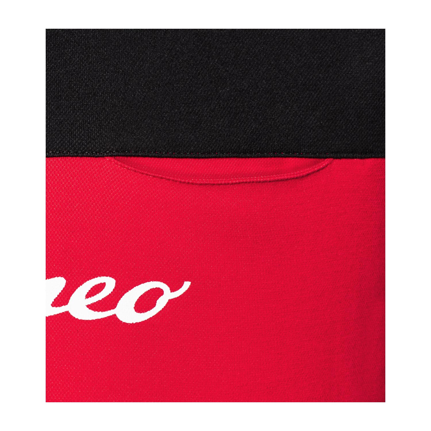 2023 Alfa Romeo F1 Mens Team T-shirt | T-shirts \ Mens ...