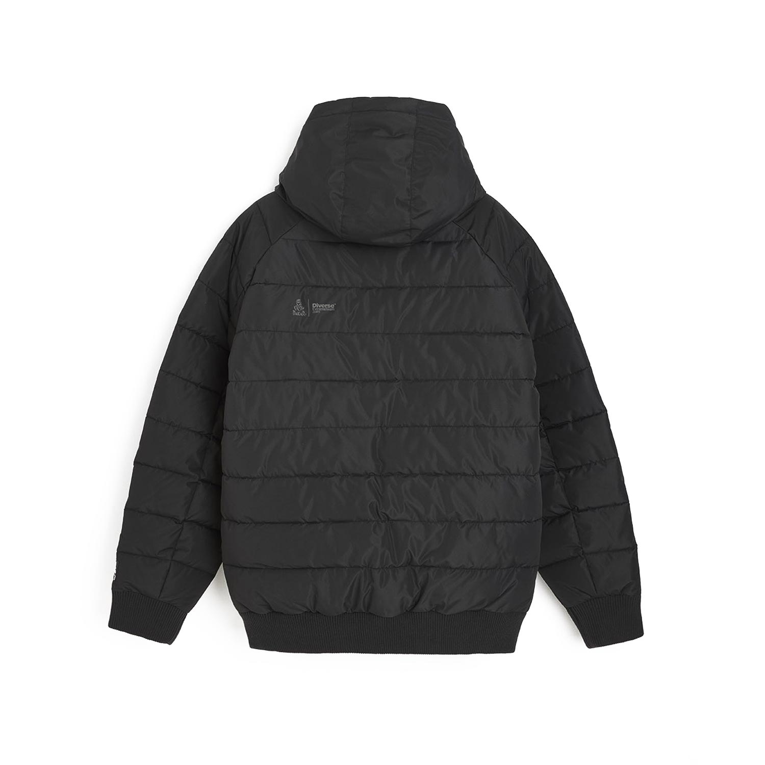 Dakar Mens DKR SIX Padded Jacket black | Wind Jackets \ Men's ...